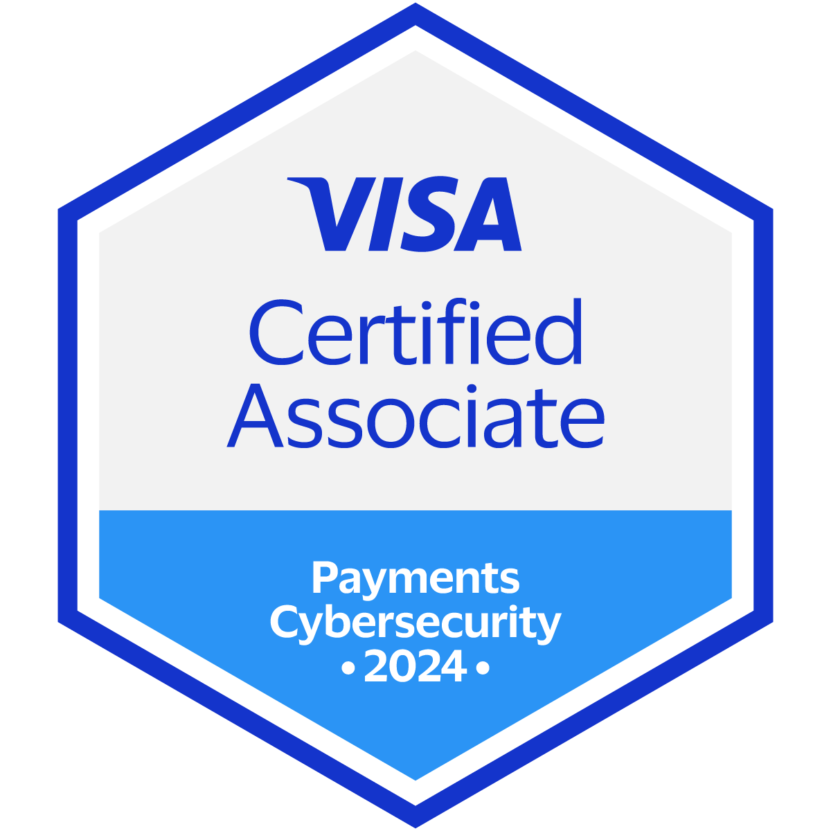 Certificación de Ciberseguridad en Pagos de Visa | Visa University