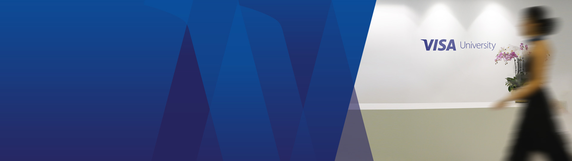 Visa University